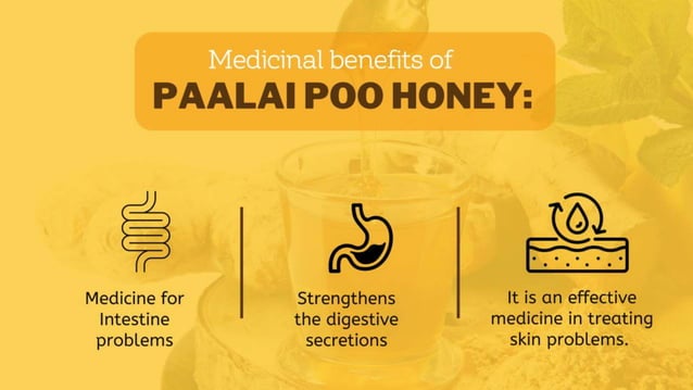 Paalai Poo Honey-Paalai honey-Wild honey hunters | PPT