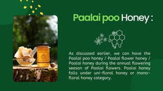 Pure Paalai Poo Honey- Wild Honey Hunters | PPTX