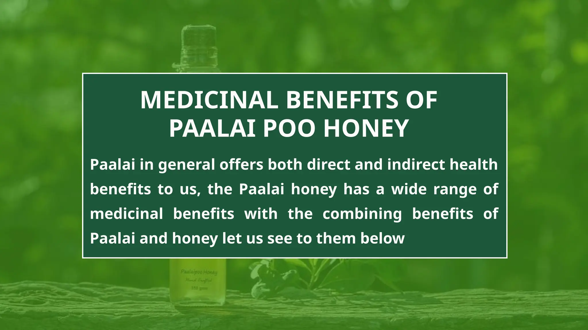 Paalai poo honey-Introduction to an interesting Mono floral honey ...
