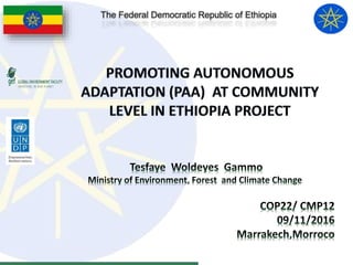 Promoting Autonomous Adaptation At The Community Level in Ethiopia | PPT