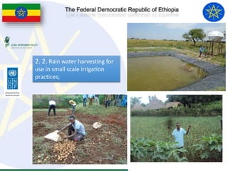 Promoting Autonomous Adaptation At The Community Level in Ethiopia | PPT