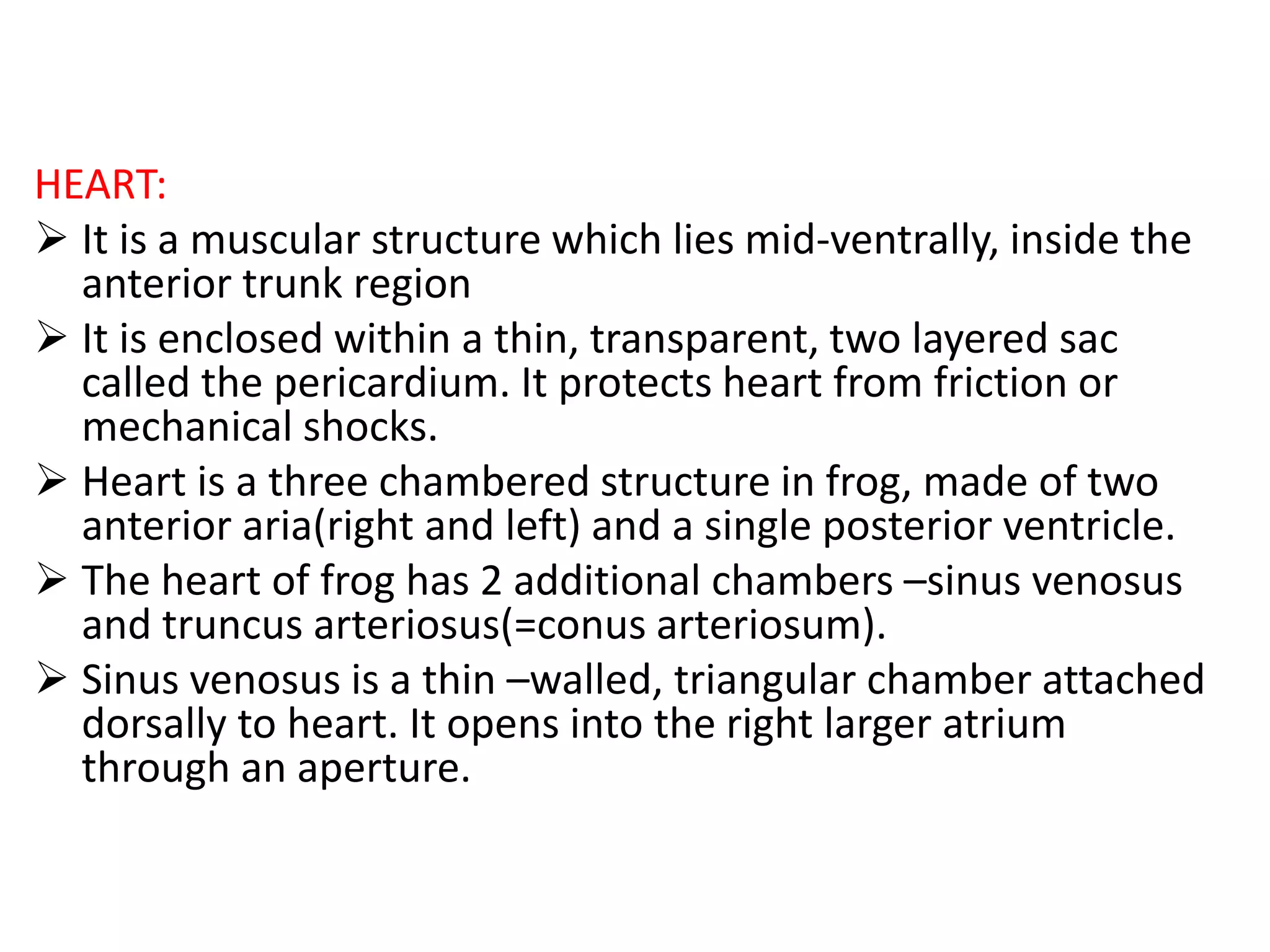 type study of frog | PPTX