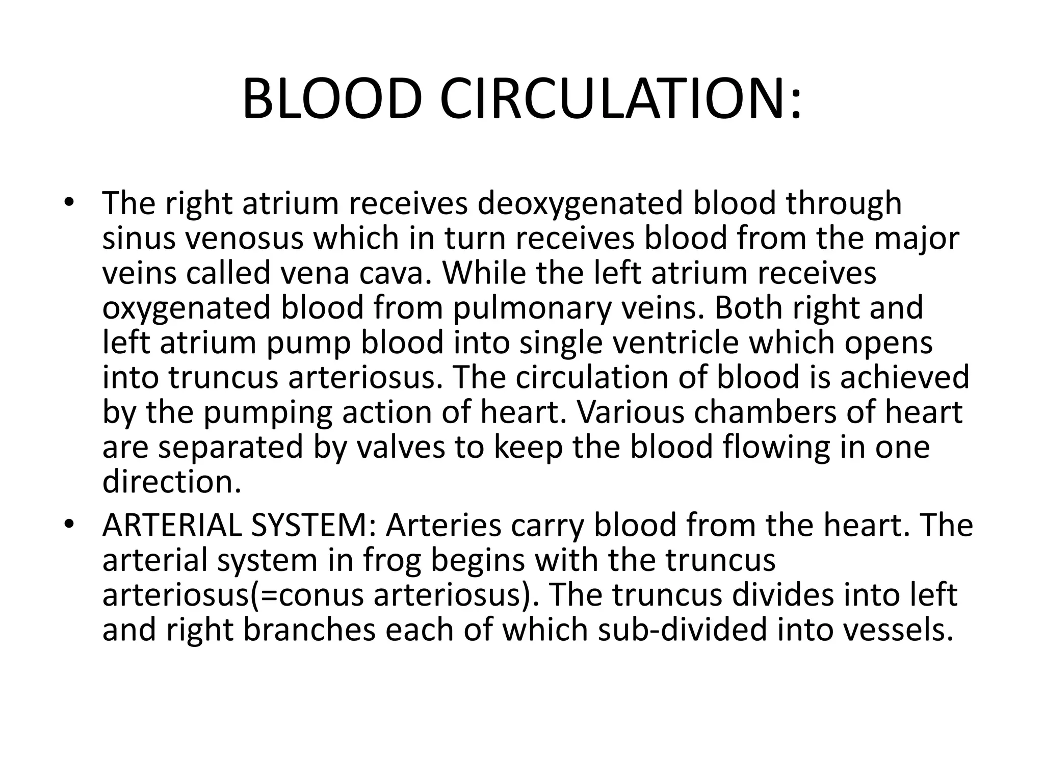 type study of frog | PPTX