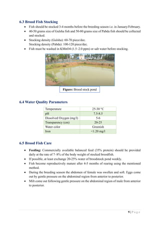 Pabda-Gulsha nursery management with cost benefit analysis | PDF