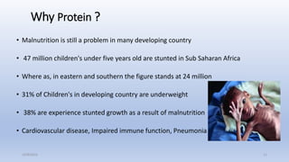 Fish Protein To Human Nutrition | PPTX