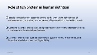 Fish Protein To Human Nutrition | PPTX