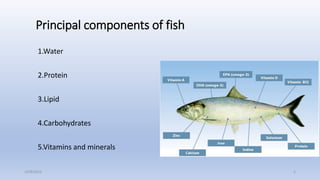 Fish Protein To Human Nutrition | PPTX