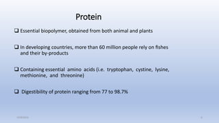 Fish Protein To Human Nutrition | PPTX