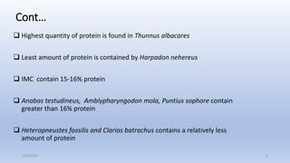 Fish Protein To Human Nutrition | PPTX