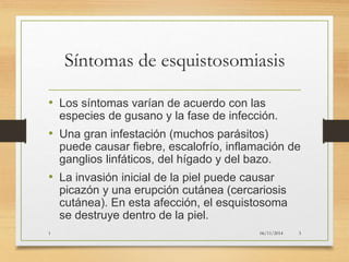 Esquistosomiasis Ppt 9997