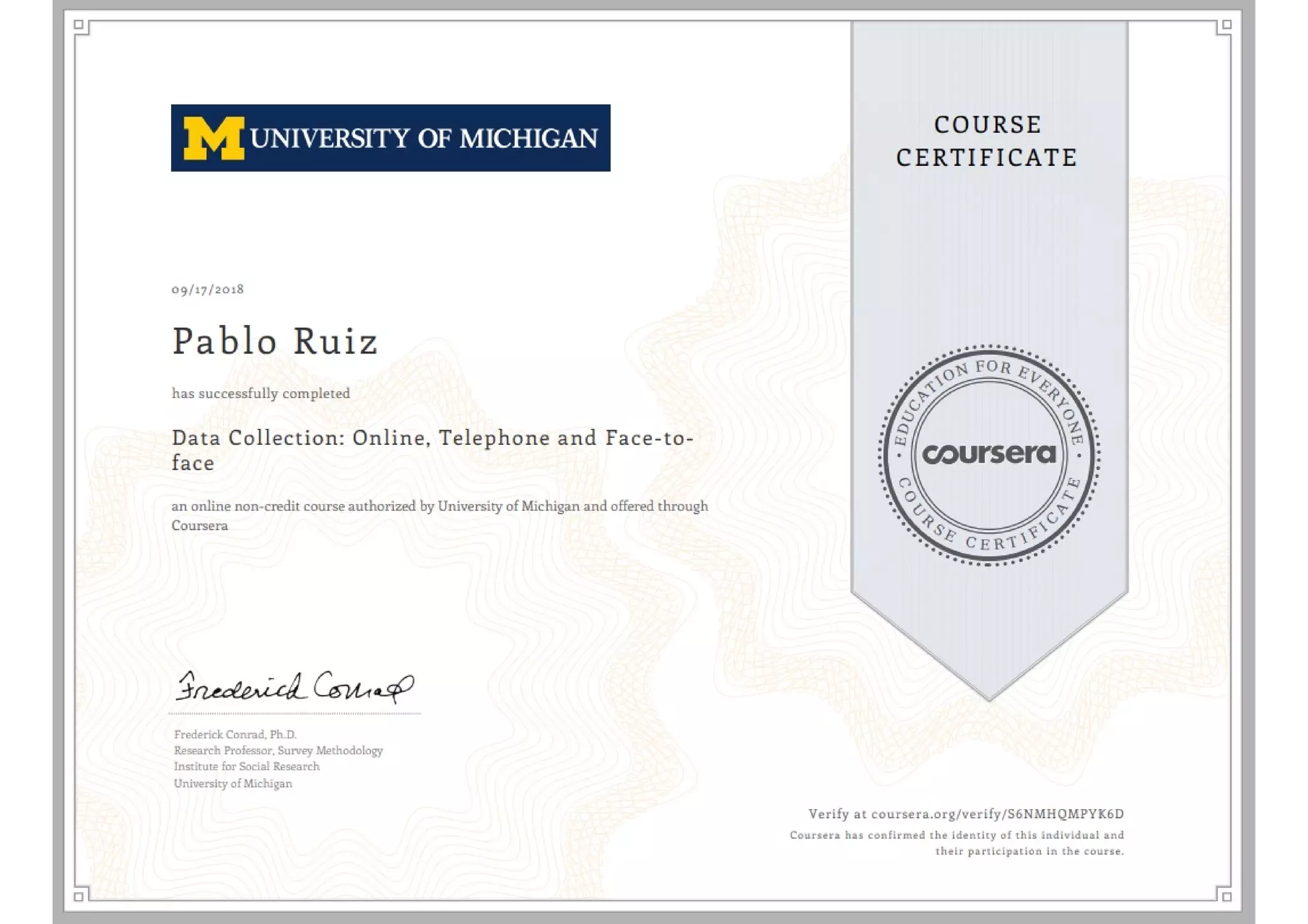 Data Collection, Online, Telephone and Face -to- Face - Diploma - Pablo ...