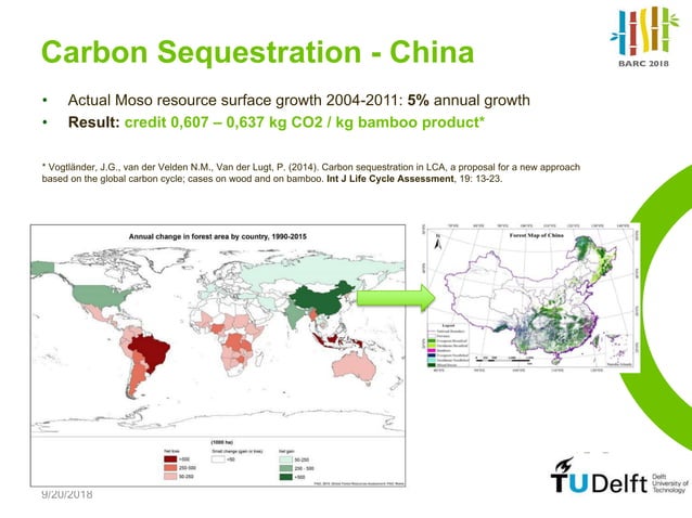 Pablo van der Lugt_Carbon Sequestration and Emission Reduction through Bamboo Forests and ...