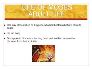 MOSES | PPTX