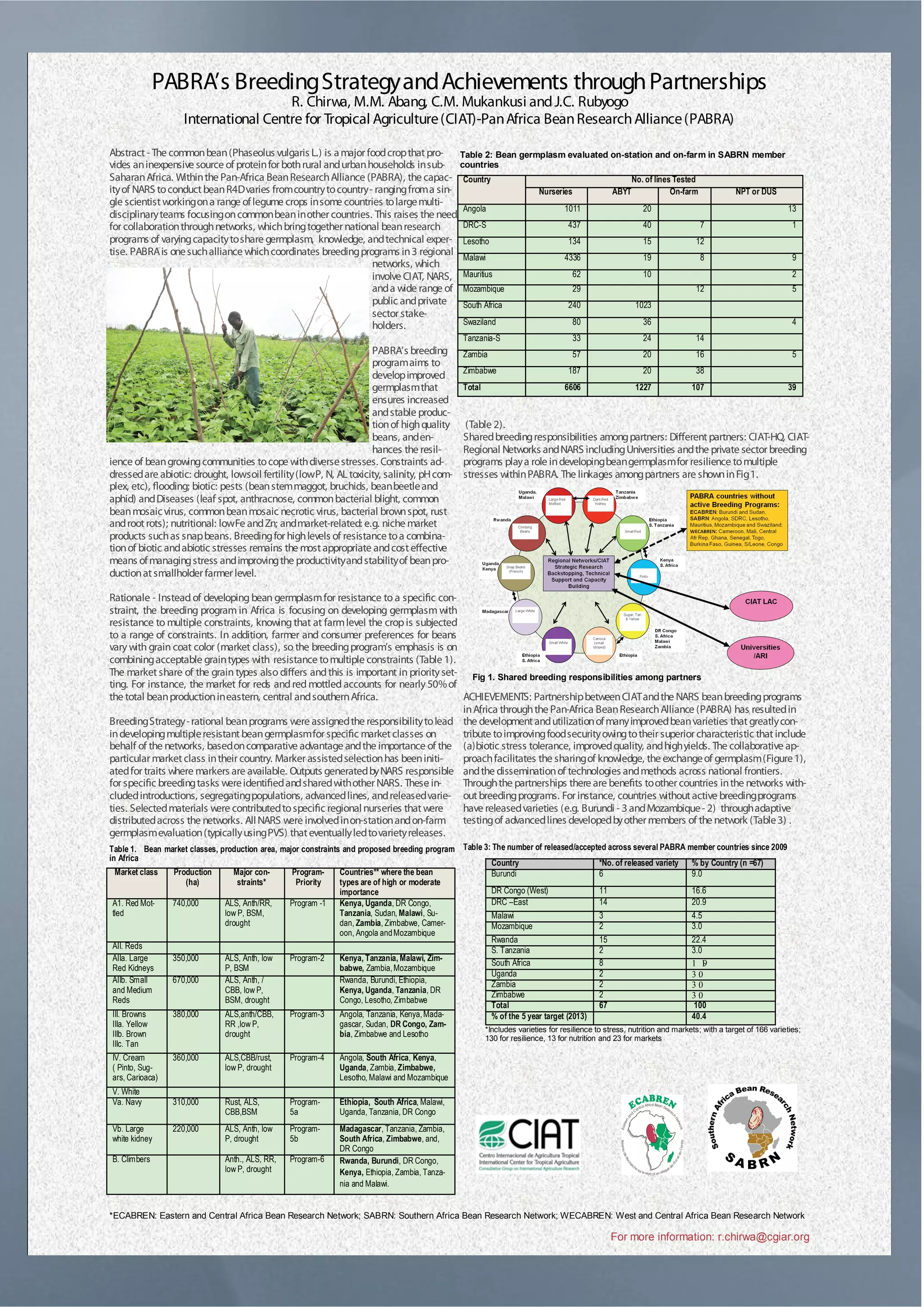 PABRA's Breeding Strategy | PDF