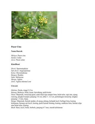 Pacar Cina | DOCX