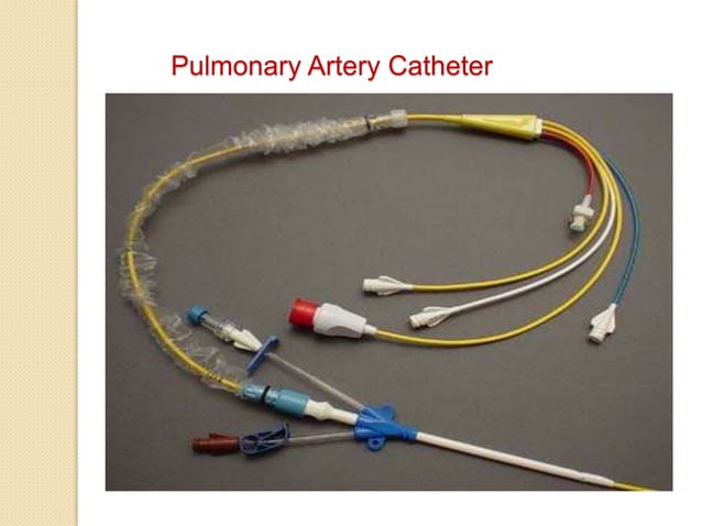 Pa catheter ctvac | PPTX | Heart and Cardiovascular Diseases | Diseases ...