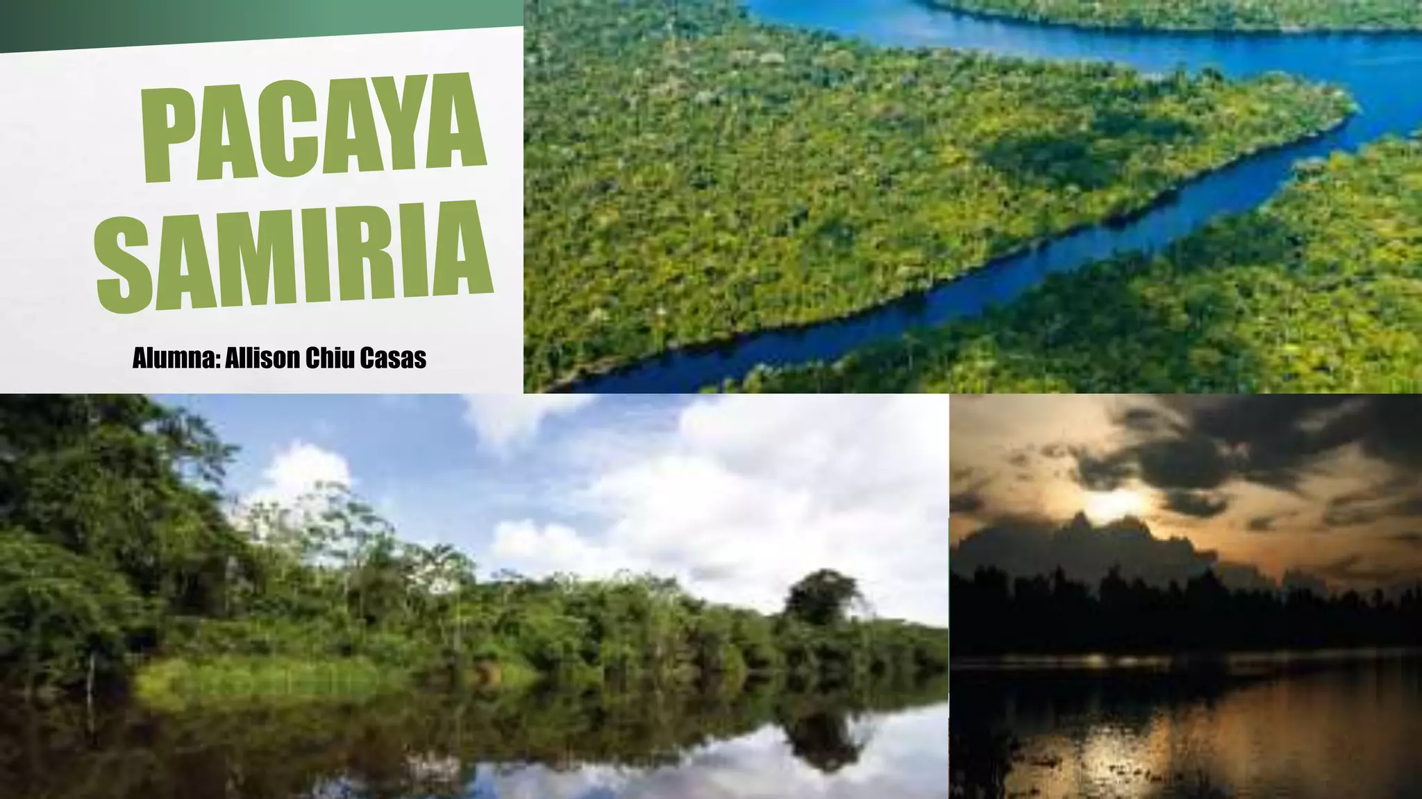 RESERVA NACIONAL Pacaya samiria | PPTX