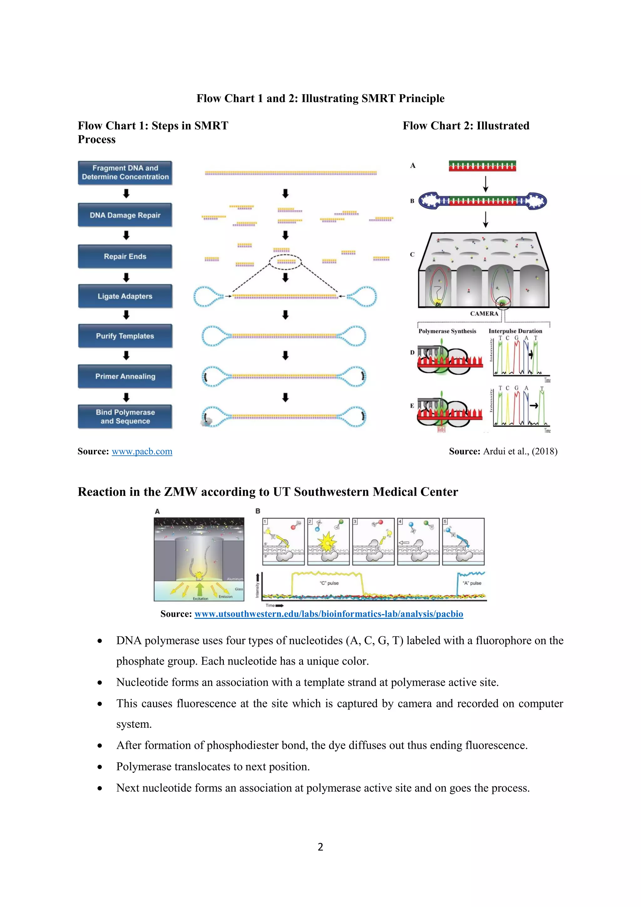 PacBio SMRT - THIRD GENERATION SEQUENCING TECHNIQUE | PDF