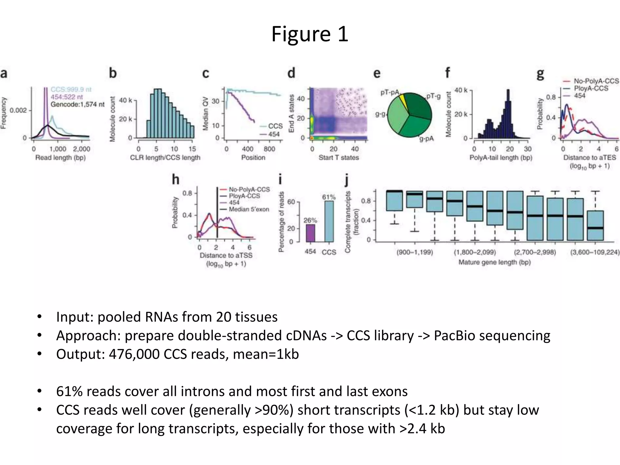 Applied Bioinformatics Journal Club Pacbio RNA-Seq | PPT