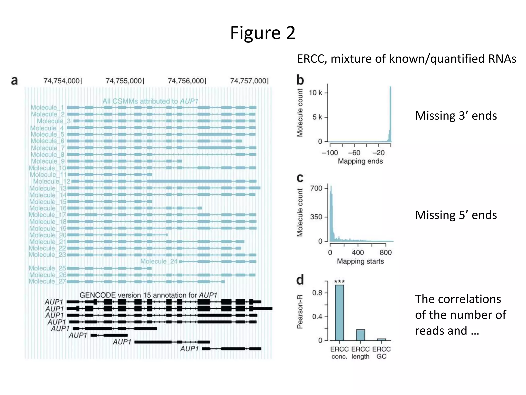 Applied Bioinformatics Journal Club Pacbio RNA-Seq | PPT