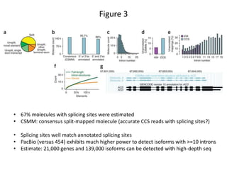 Applied Bioinformatics Journal Club Pacbio RNA-Seq | PPT