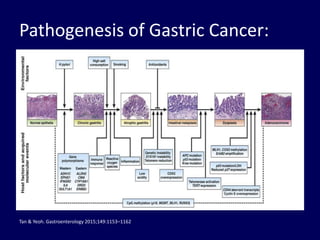 Gastric cancer: From Molecular Classification to Clinical Impact | PPTX