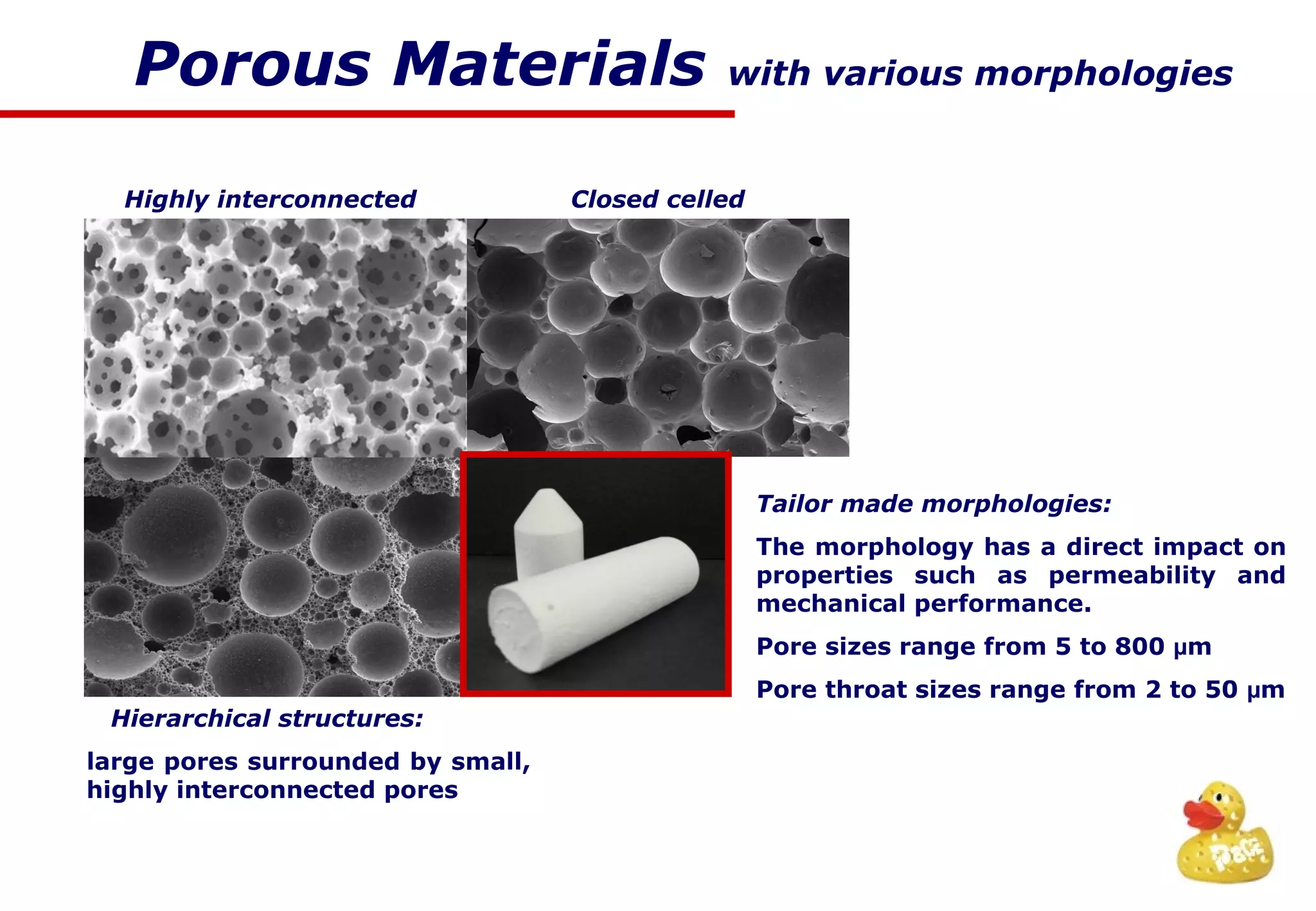 PolyHIPE - Sept 12 | PPT | Physics | Science