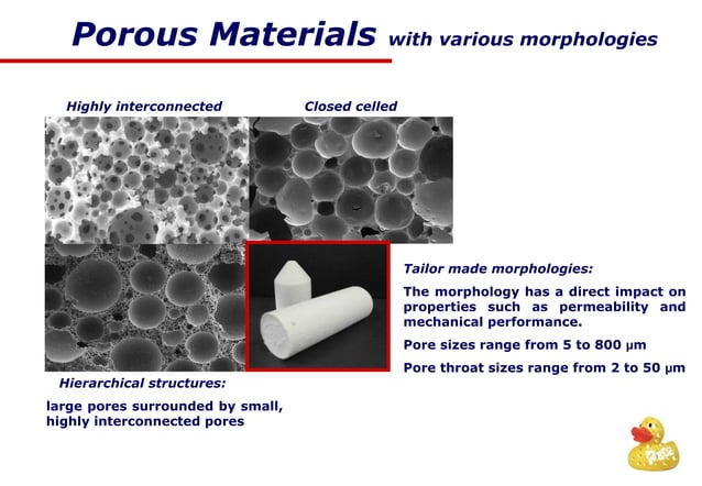PolyHIPE - Sept 12 | PPT | Physics | Science