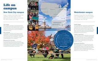 Pace University Brochure by Study Metro | PDF