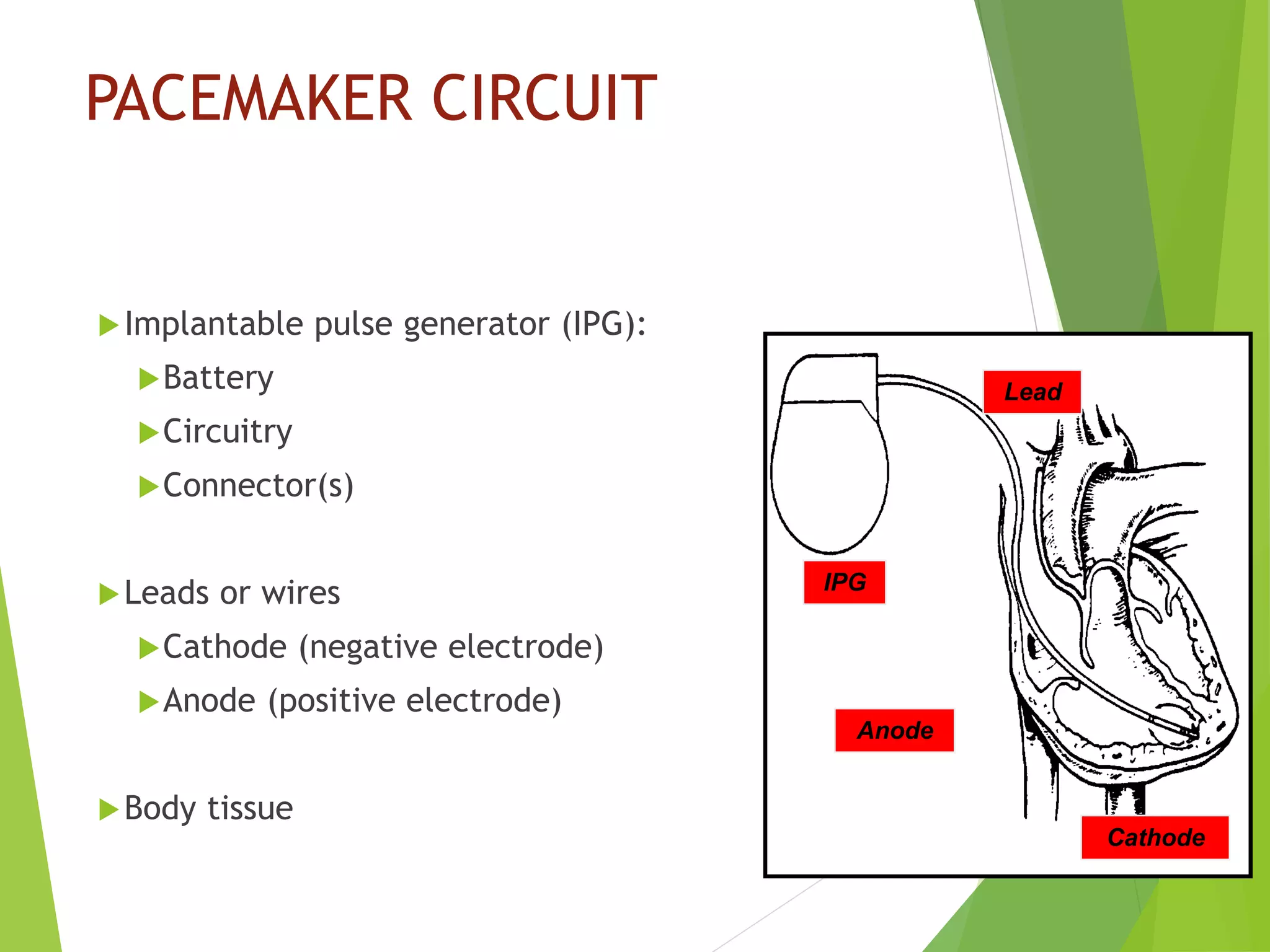 PACEMAKER BASIC AND TIMING CYCLE .pptx | Heart and Cardiovascular ...