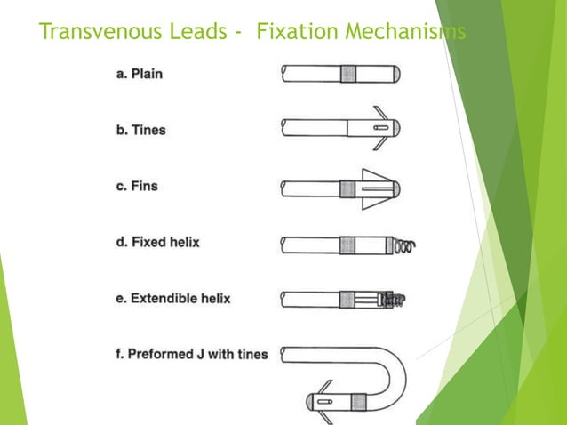 PACEMAKER BASIC AND TIMING CYCLE .pptx | Heart and Cardiovascular ...