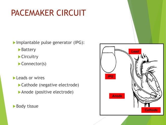 PACEMAKER BASIC AND TIMING CYCLE .pptx | Heart and Cardiovascular ...