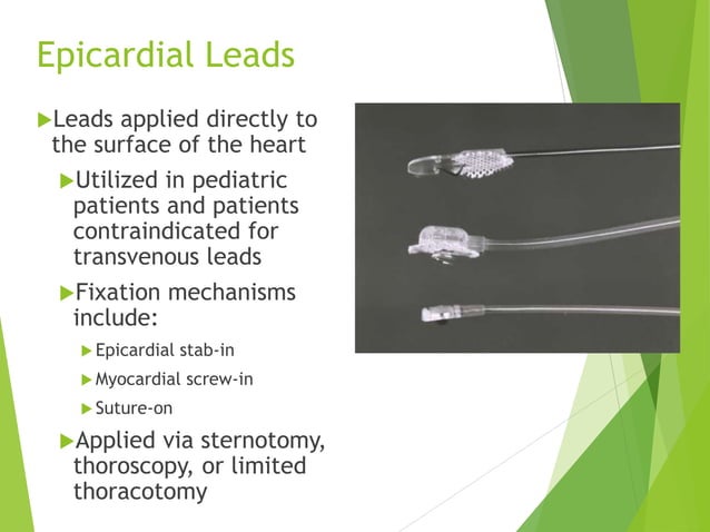 PACEMAKER BASIC AND TIMING CYCLE .pptx | Heart and Cardiovascular ...