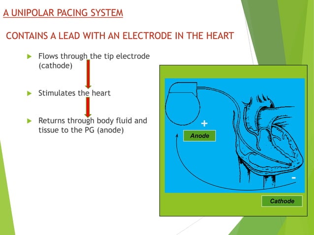 PACEMAKER BASIC AND TIMING CYCLE .pptx | Heart and Cardiovascular ...