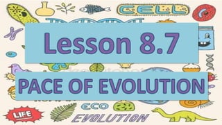 PaceOfEvolution.pptx