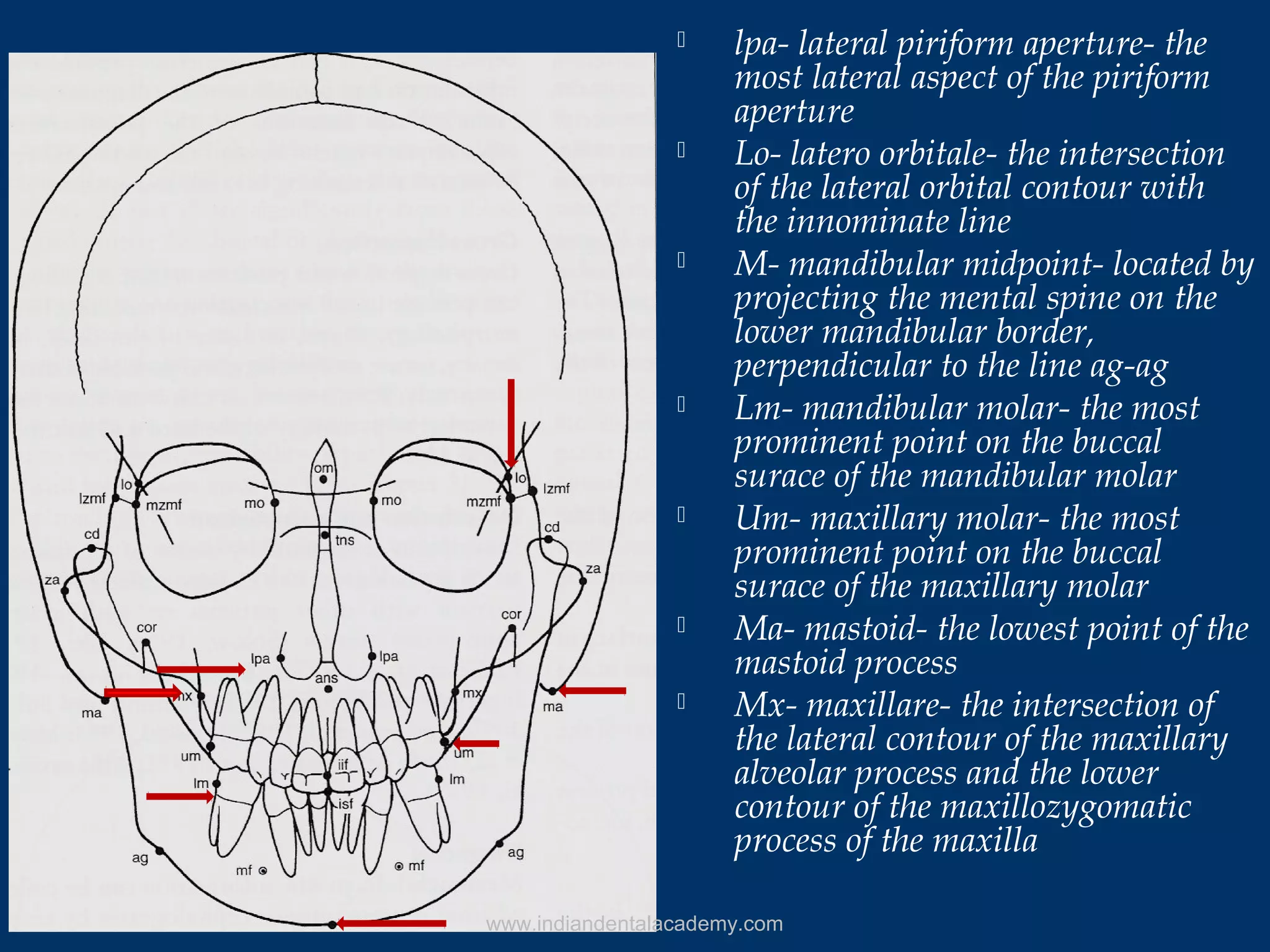 Postero - Anterior cephalometry basics/cosmetic dentistry courses | PPT