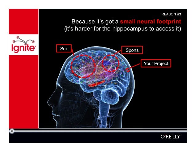 The Brain on Procrastination (and How to Respond)