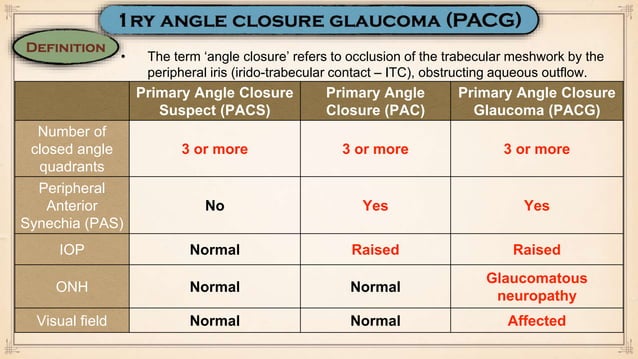Primary Angle Closure Glaucoma | PPTX