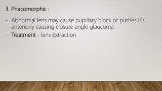 Primary Angle Closure Glaucoma | PPTX