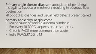 Primary Angle Closure Glaucoma | PPTX