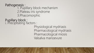 Primary Angle Closure Glaucoma | PPTX