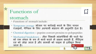 Manav Ka Pachan Tantra Class 10 Science.pptx