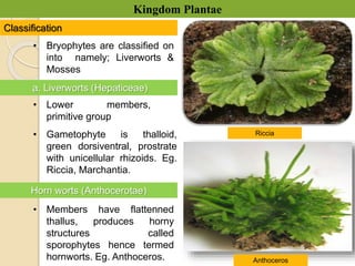 Chapter_3_Kingdom_Plantae.pptx