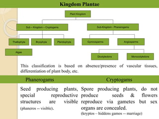 Chapter_3_Kingdom_Plantae.pptx