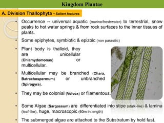 Chapter_3_Kingdom_Plantae.pptx