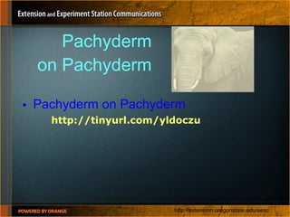 Pachyderm Introduction | PPT