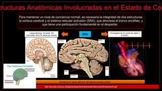 Paciente comatoso | PPTX