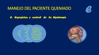 Comprehensive Overview of Pediatric Burn Patient Care and Skin ...