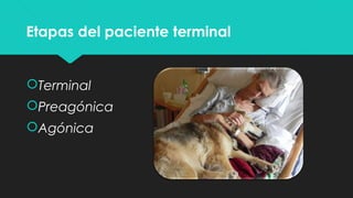 Paciente terminal & medicina paliativa | PPT