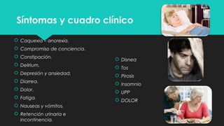 Paciente terminal & medicina paliativa | PPT